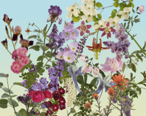 Projects – Fallen Fruit
